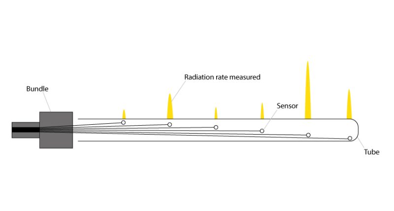 Inspect: online and remote dosimetry for inspecting nuclear equipment